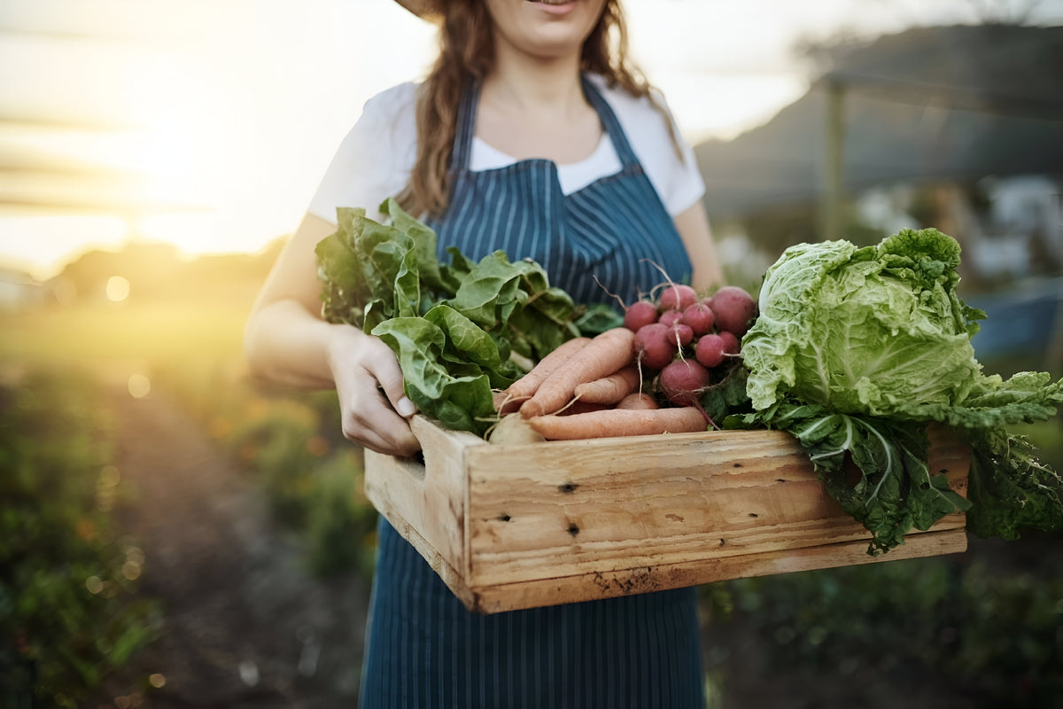 How To Start Growing Food in Your Garden — GardenistaUK Store